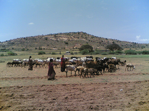 Bihar govt declares 33 districts as drought hit | Skymet Weather Services