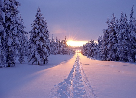 Late Summer Snow in Canada & USA | Skymet Weather Services