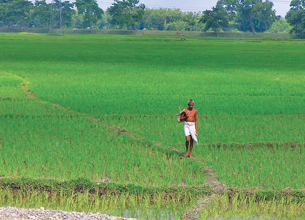 IMD forecasts monsoon at 93 per cent of LPA | Skymet Weather Services