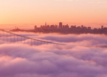 What is fog and what are the types of fog? | Skymet Weather Services