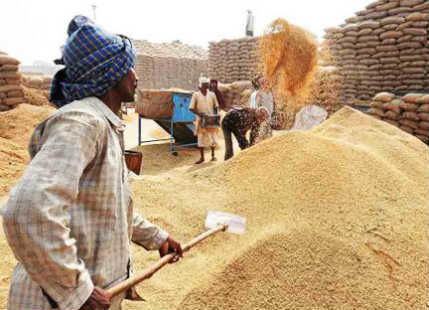 Paddy production in West Bengal : Latest news and update on Paddy ...