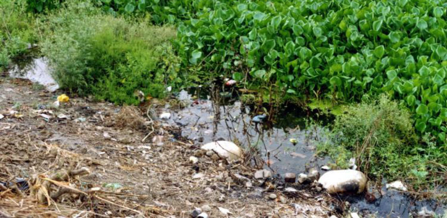 Sant Balbir Singh Seechewal: The Man Who Cleaned 160 Km Long River All ...