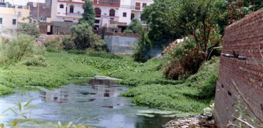 Sant Balbir Singh Seechewal: The Man Who Cleaned 160 Km Long River All ...