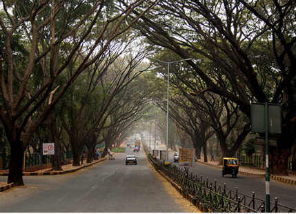 Bengaluru Weather: Weather changes in Bangalore, brings relief from ...
