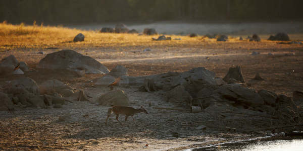 Prolonged heat, dryness to worsen drought conditions in Southeast US ...