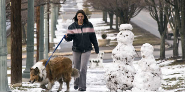 Cold winds to knock over northeastern US this weekend, snow possible ...
