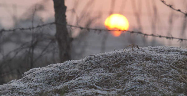 Minimums reaches to freezing point in Haryana, Rajasthan and Uttar ...