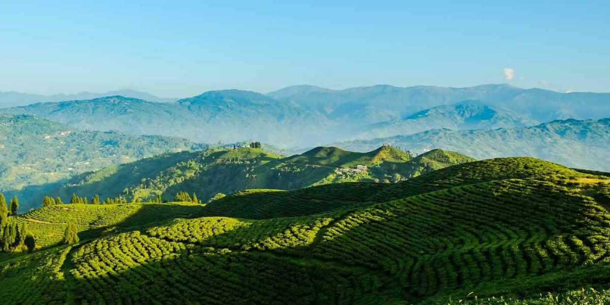 Rains likely in Assam, Arunachal Pradesh and Nagaland | Skymet Weather ...