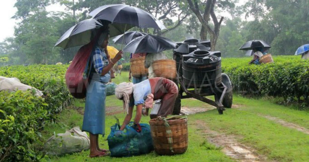 Rain in Northeast India: Rainy week ahead for Assam, Arunachal Pradesh ...