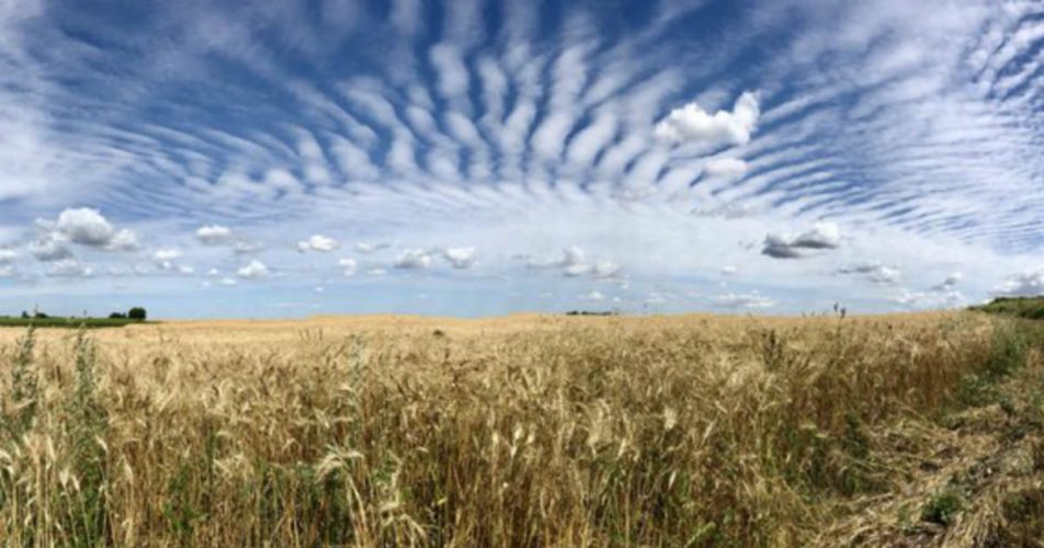 Gravity Waves : Latest news and update on Gravity Waves