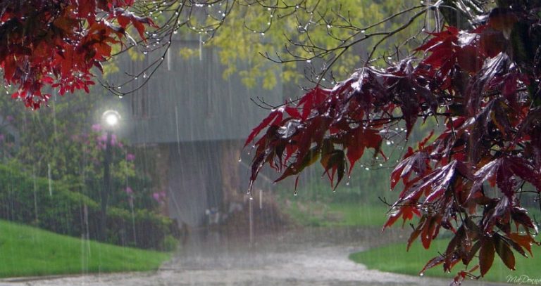 Rain in Punjab and Haryana: Rain in Punjab, Haryana likely today, more ...