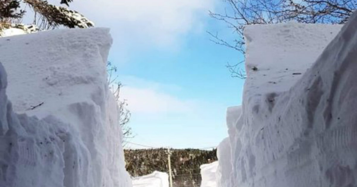 Bomb Cyclone Blizzard hit East Canada during weekend, heaviest snowfall ...