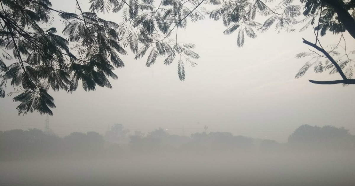 Freezing weather and frost take over Punjab, Haryana and Rajasthan ...