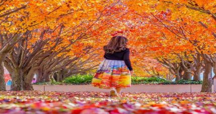 Here is a guide tour to the 6 seasons of India as per the Hindu ...