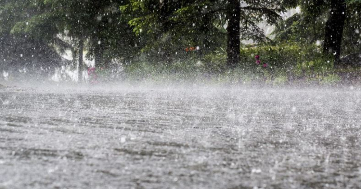 Depression Weakens To Low Pressure Area: Rains Continue Over Tamil Nadu ...